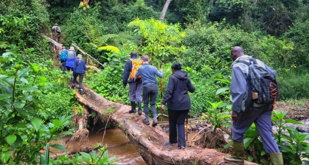 Por qué es importante contratar un porteador para hacer trekking con ...